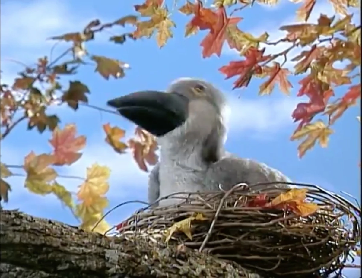 Listen to the Mockingbird (Barney's Version) | Barney Wiki | Fandom