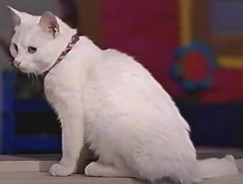 Muffin | Barney Wiki | Fandom