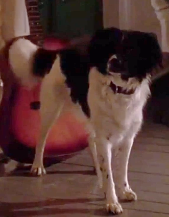 Ralph | Barney Wiki | Fandom