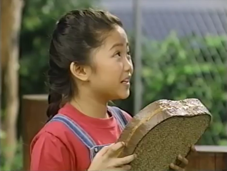 Rebecca | Barney Wiki | Fandom