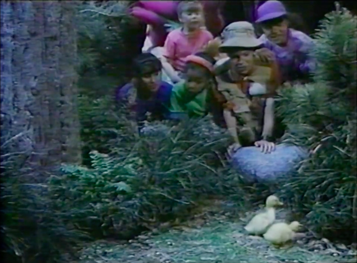 Be Kind to Your Web-Footed Friends | Barney Wiki | Fandom