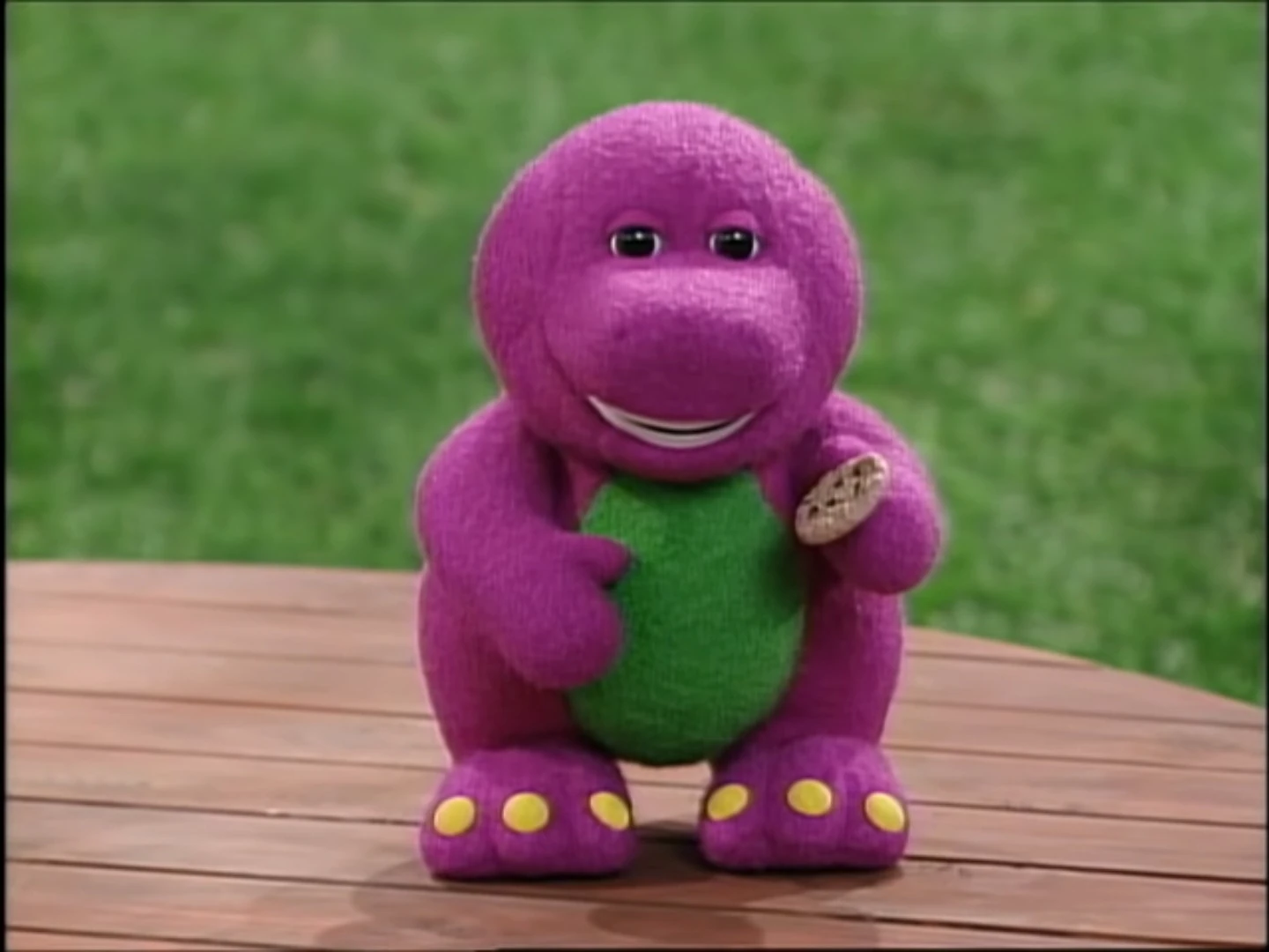 Barney Tea Riffic Manners