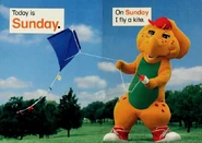 BJ's Fun Week | Barney Wiki | Fandom