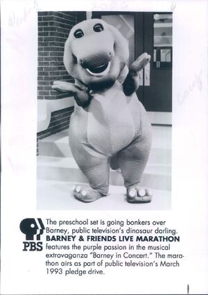 Barney & Friends Family Marathon | Barney Wiki | Fandom