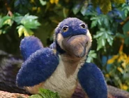 Mr. Bluejay | Barney Wiki | Fandom