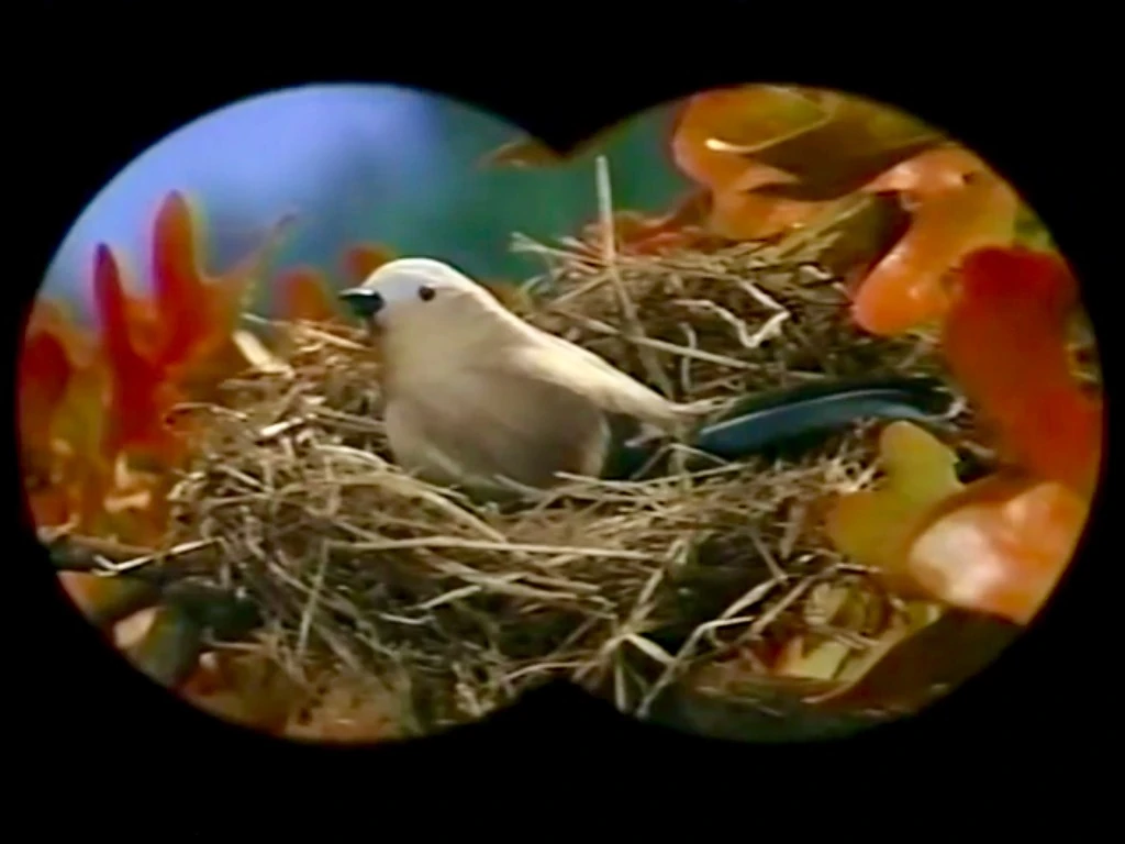 The Little Bird | Barney Wiki | Fandom