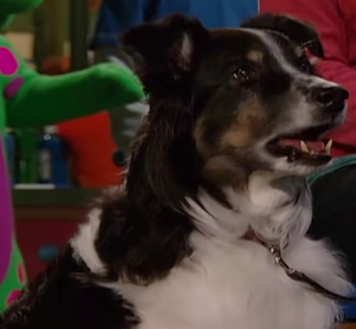 Fetch | Barney Wiki | Fandom