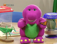 Itty Bitty Bugs | Barney&Friends Wiki | Fandom