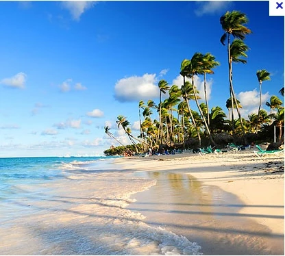 Let's Go On Vacation | Barney&Friends Wiki | Fandom