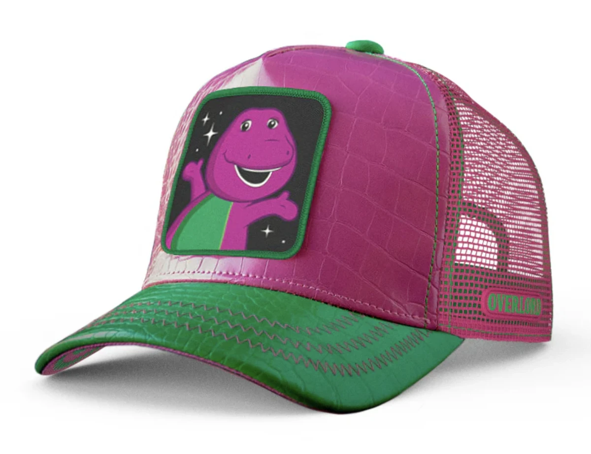 Barney Trucker Hats 2026 | Barney&Friends Wiki | Fandom