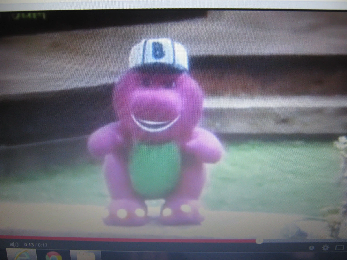 A Picture of Friendship | Barney&Friends Wiki | Fandom