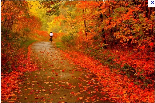 It Is Autumn! | Barney&Friends Wiki | Fandom