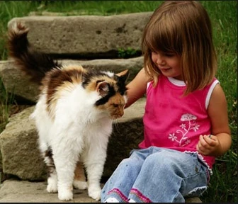 The Boy Who Drew Cats (ending segement) | Barney&Friends Wiki | Fandom