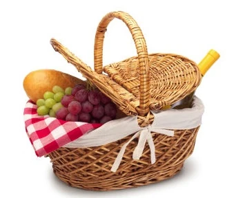 A Teddy Bear Pinic | Barney&Friends Wiki | Fandom