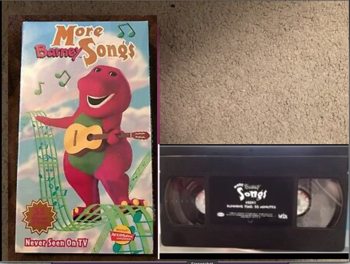 Barney Home Video Screener: More Barney Songs The Barney Collector ...