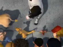 Big Top Barnyard | WikiBarn | Fandom