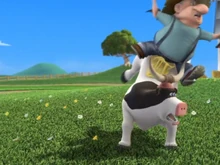 Rodeotis | WikiBarn | Fandom