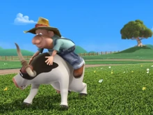 Rodeotis | WikiBarn | Fandom