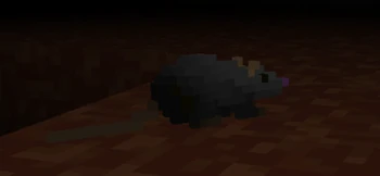 Rat | BaronyGame Wiki | Fandom