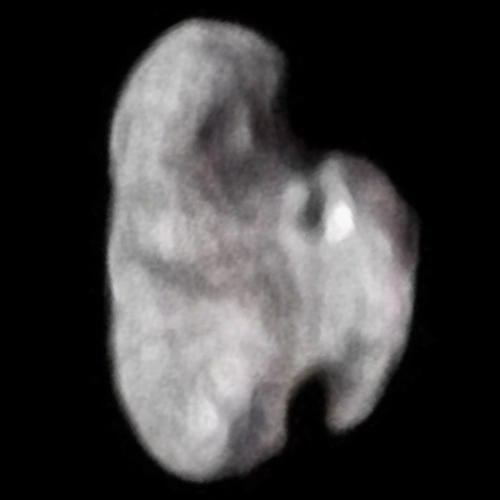 Hydra | John Barosa Wiki | Fandom