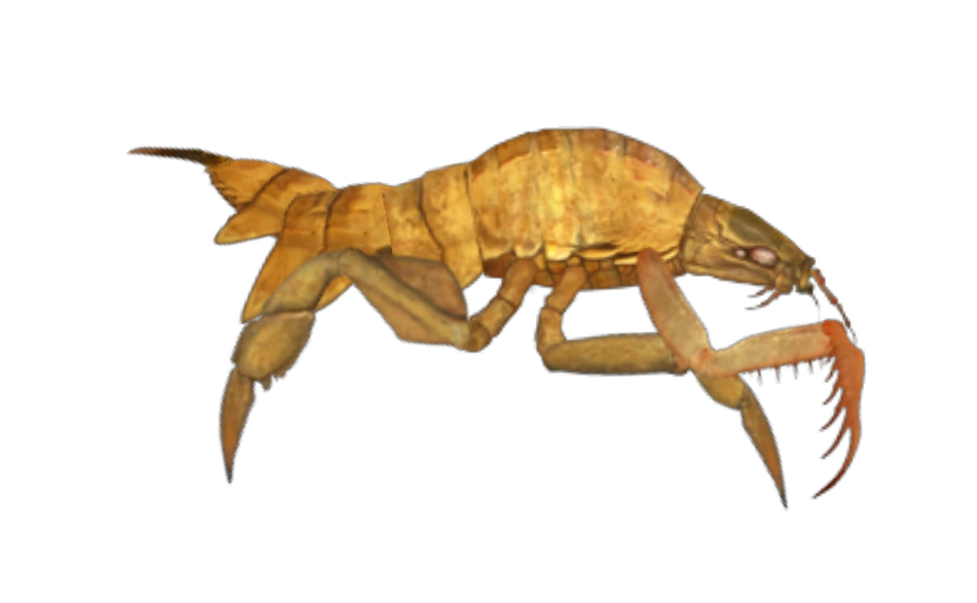 Mantis | Barotrauma 40k Wiki | Fandom