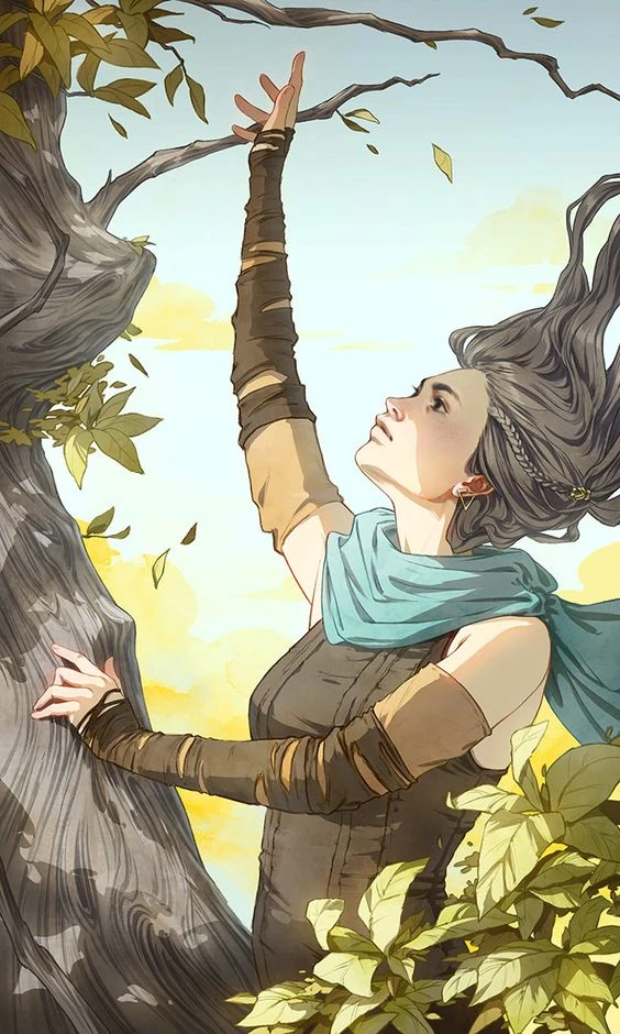 Guide de la cueillette | Wiki Sandor | Fandom