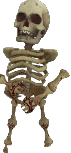 Skeleton | Roblox BARRICADED Wiki | Fandom