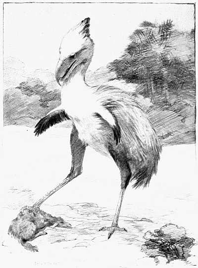 Dyal | Encyclopedia Barsoomia Wiki | Fandom