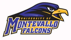 Montevallo Falcons | Baseball Wiki | Fandom