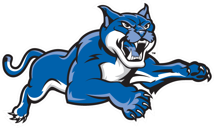 SUNYIT Wildcats | Baseball Wiki | Fandom