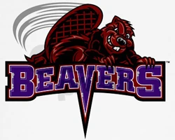 CCNY Beavers | Baseball Wiki | Fandom