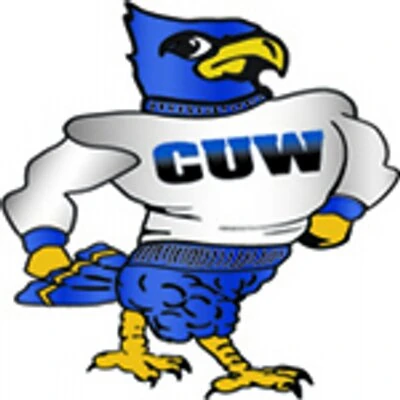Concordia (WI) Falcons | Baseball Wiki | Fandom