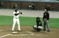 Barry Bonds | Baseball Wiki | Fandom