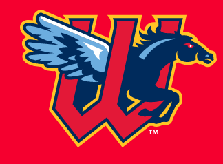 Wichita Wind Surge | Baseball Wiki | Fandom