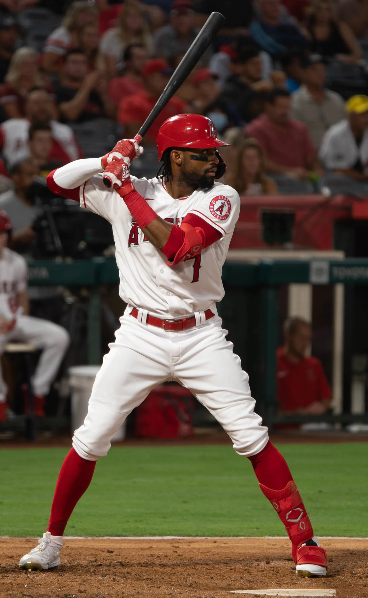 Jo Adell | Baseball Wiki | Fandom