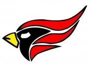 Wheeling Jesuit Cardinals | Baseball Wiki | Fandom