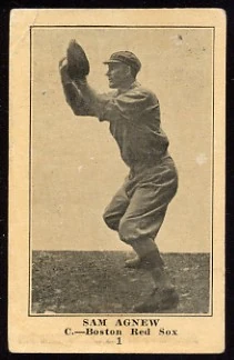 Sam Agnew | Baseball Wiki | Fandom