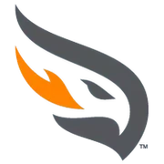 UT Southern FireHawks | Baseball Wiki | Fandom