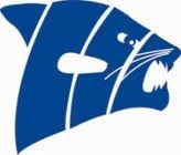 Culver-Stockton Wildcats | Baseball Wiki | Fandom