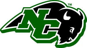 Nichols Bison | Baseball Wiki | Fandom