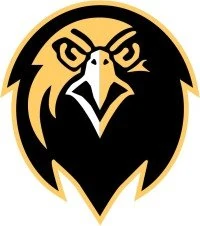 Pfeiffer Falcons | Baseball Wiki | Fandom