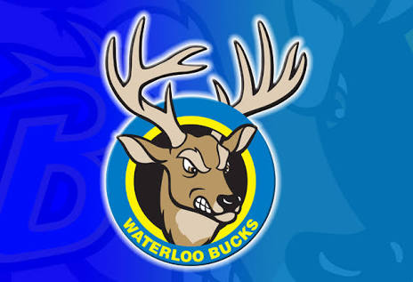 Waterloo Bucks | Baseball Wiki | Fandom