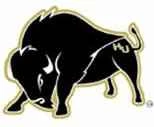 Harding Bisons | Baseball Wiki | Fandom