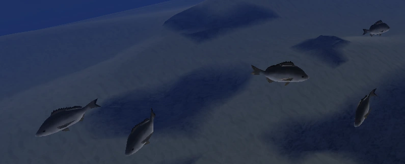 Southern Black Bream | Basic Marine Life Gaem Wiki | Fandom