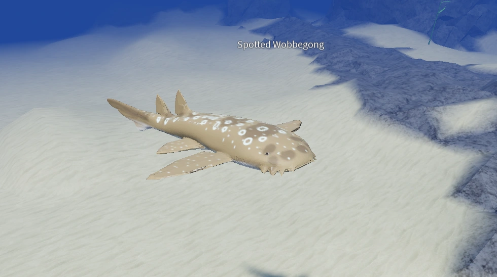 Spotted Wobbegong | Basic Marine Life Gaem Wiki | Fandom
