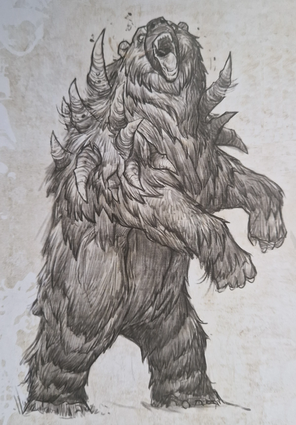 Srogodźwiedzie | Baśniobór Wiki | Fandom