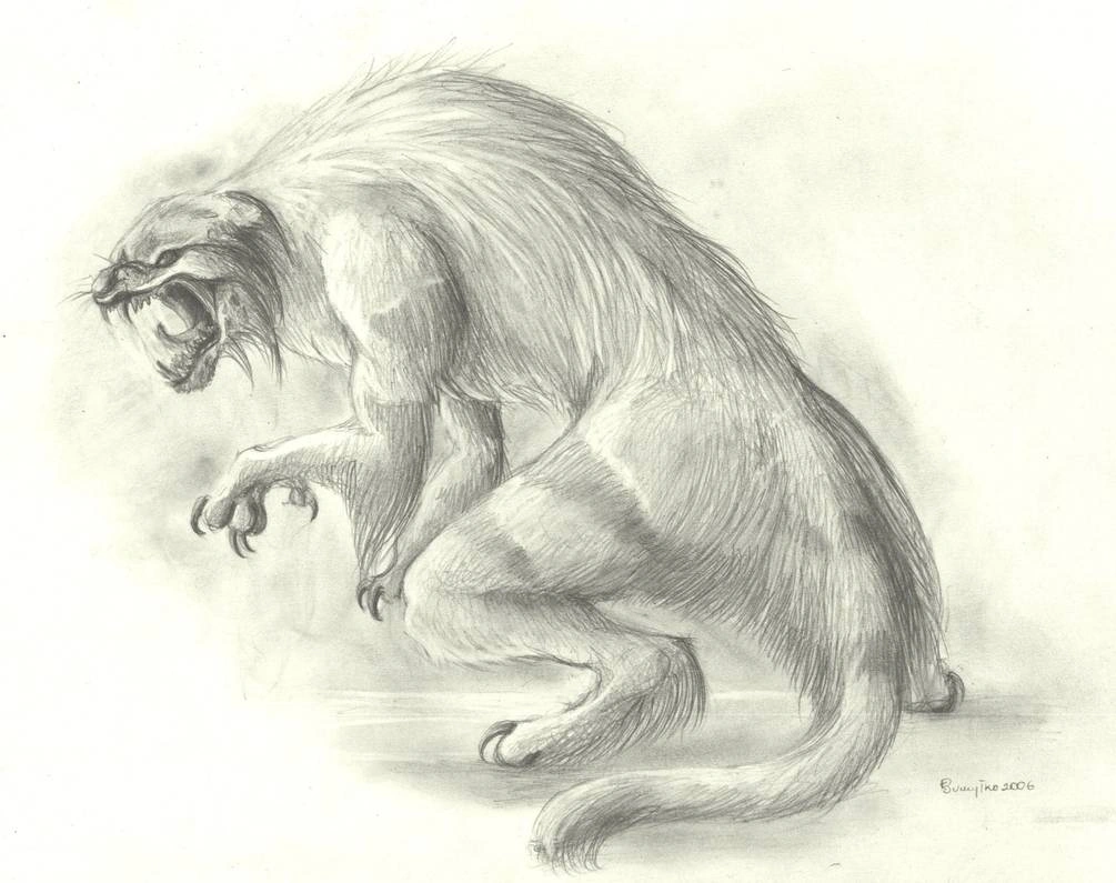 Rysiołaki | Baśniobór Wiki | Fandom