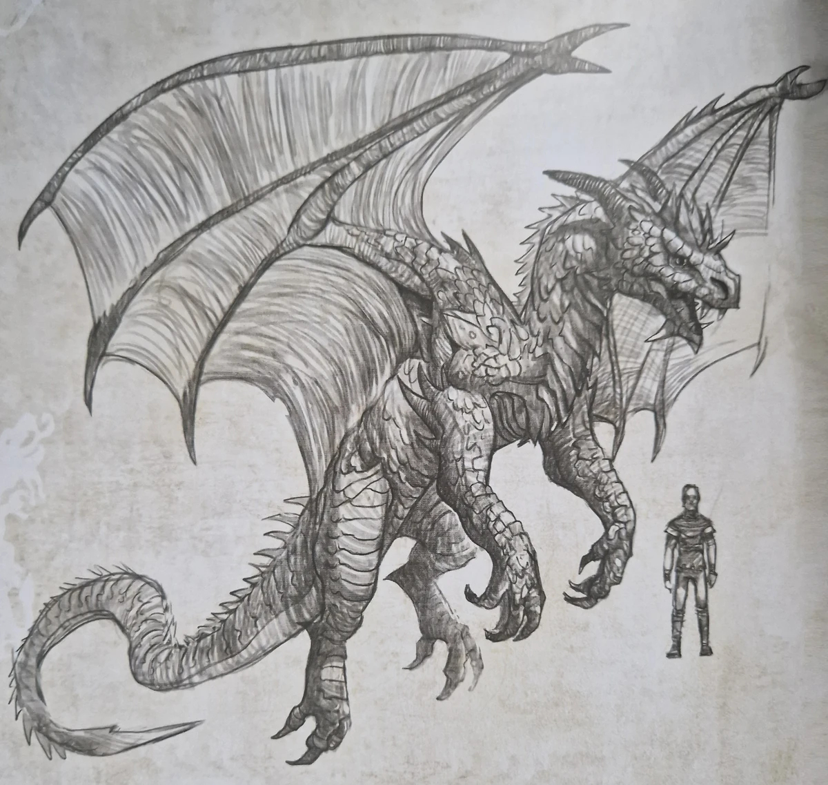 Smoki | Baśniobór Wiki | Fandom