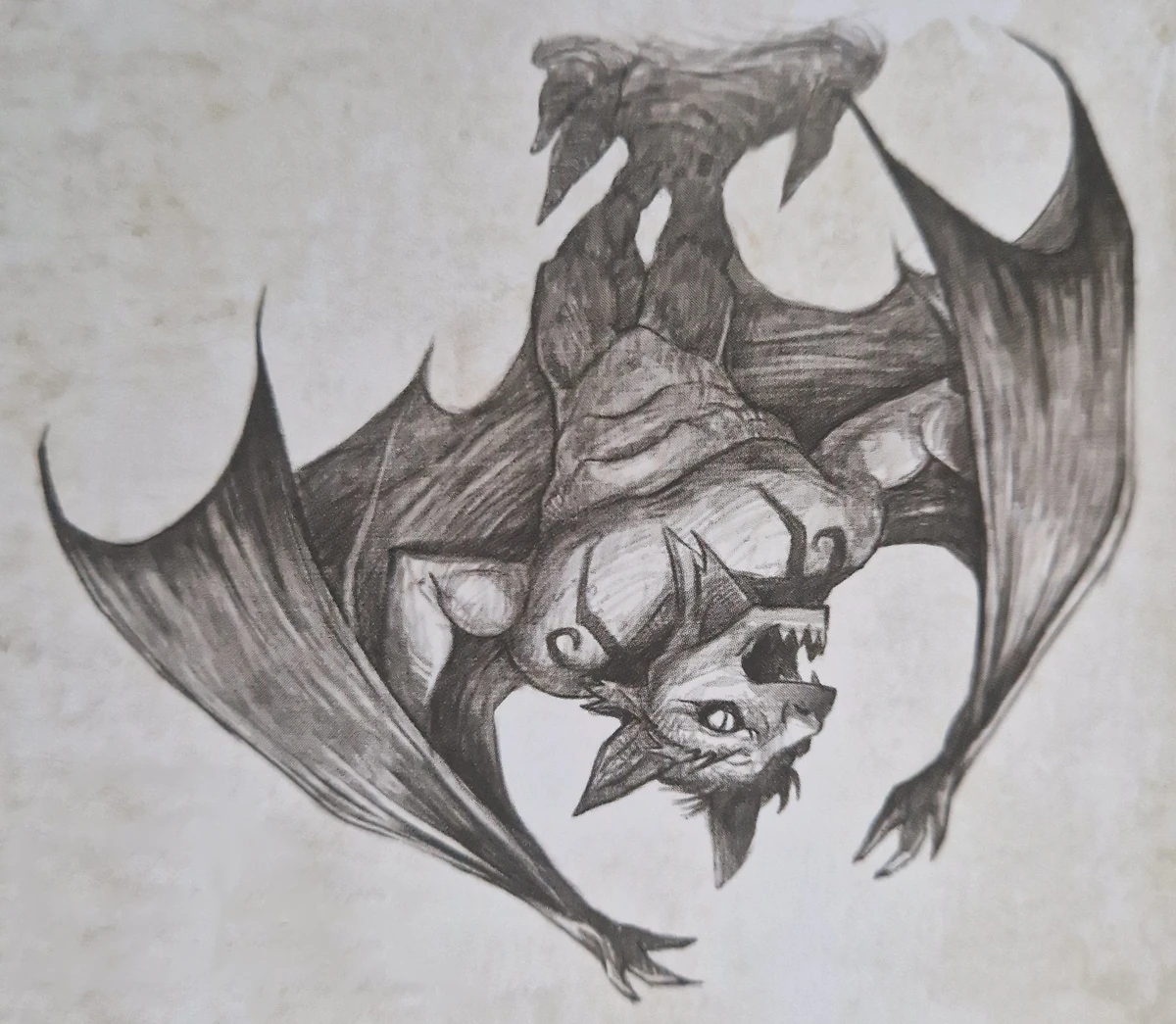 Gargulce | Baśniobór Wiki | Fandom