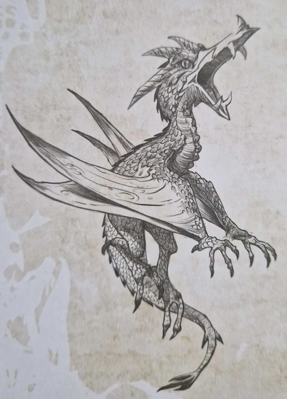 Pioleen | Baśniobór Wiki | Fandom